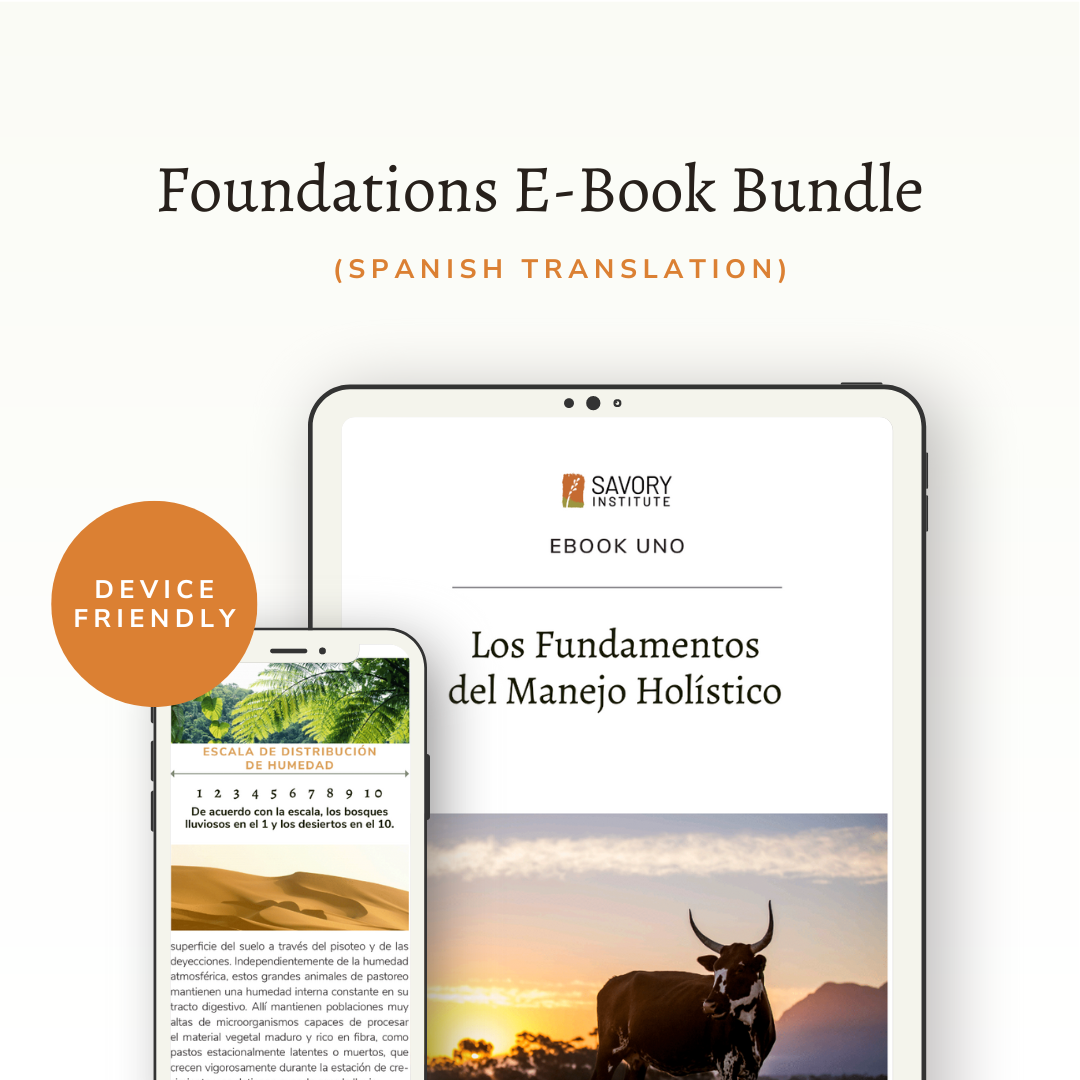 Foundations E-book Bundle (Spanish Translation) – Savory Institute