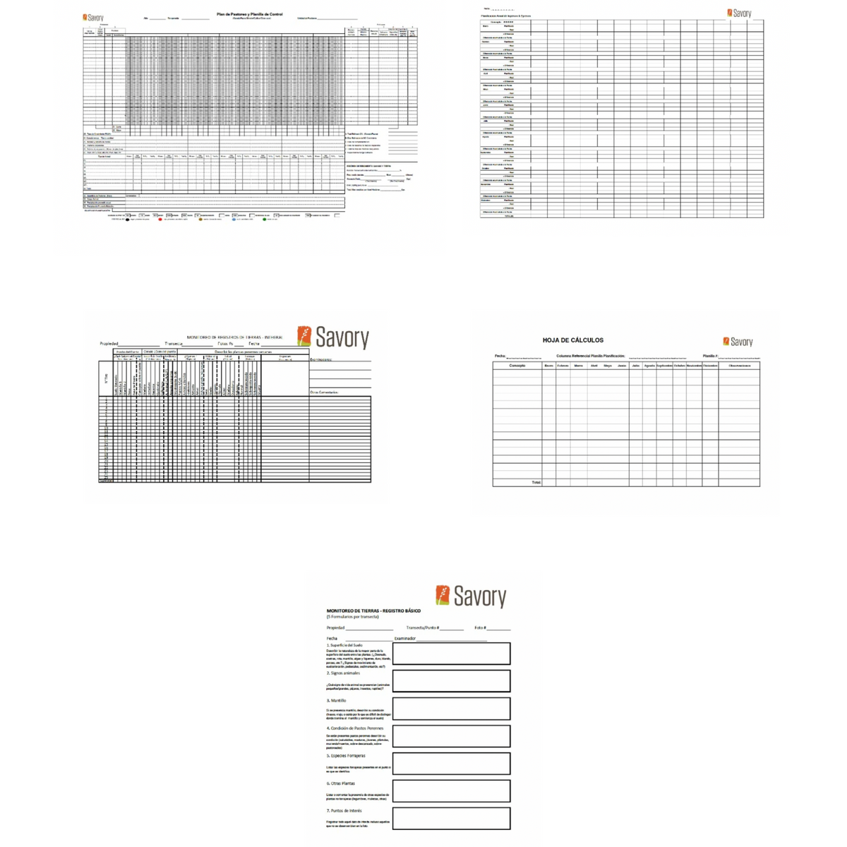 Spanish Planning Forms and Worksheets Bundle – Savory Institute