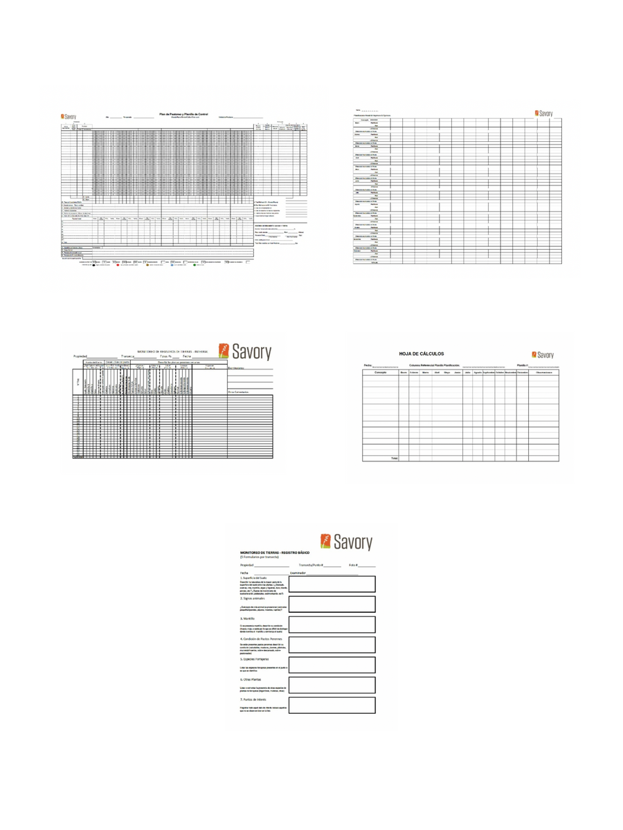 Spanish Planning Forms and Worksheets Bundle – Savory Institute