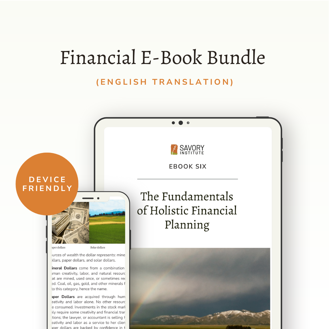 Financial E-Book Bundle (English Translation) – Savory Institute