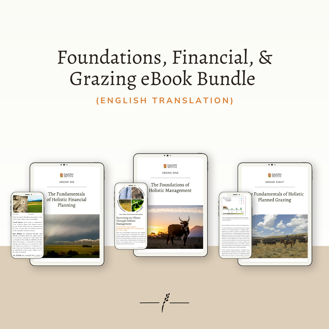 Foundations, Financial, & Grazing eBook Bundle (English Translation ...
