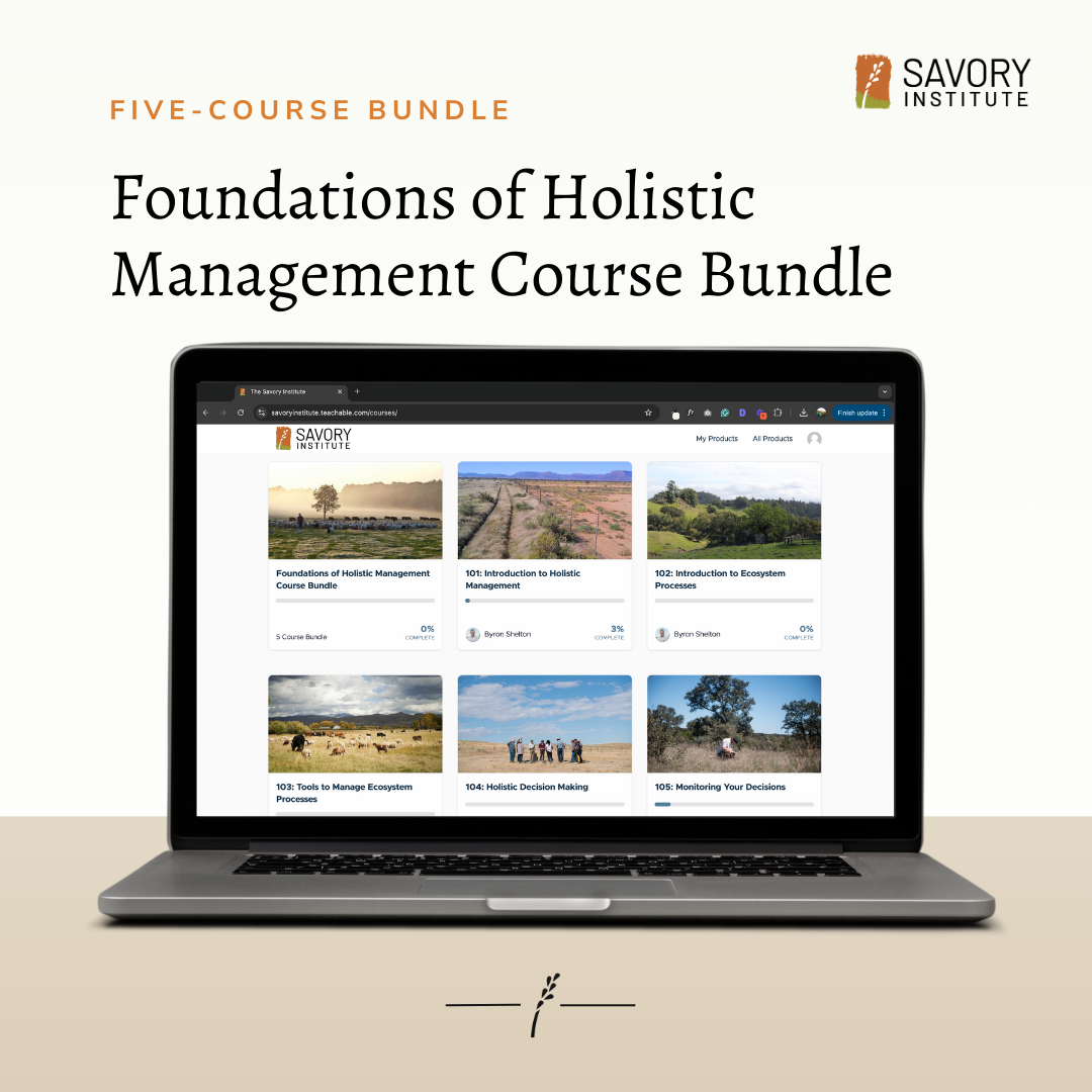 Foundations of Holistic Management Bundle | Savory Institute