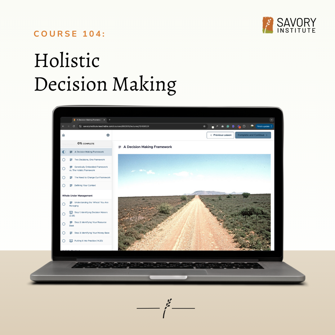 104: Holistic Decision Making | Savory Institute