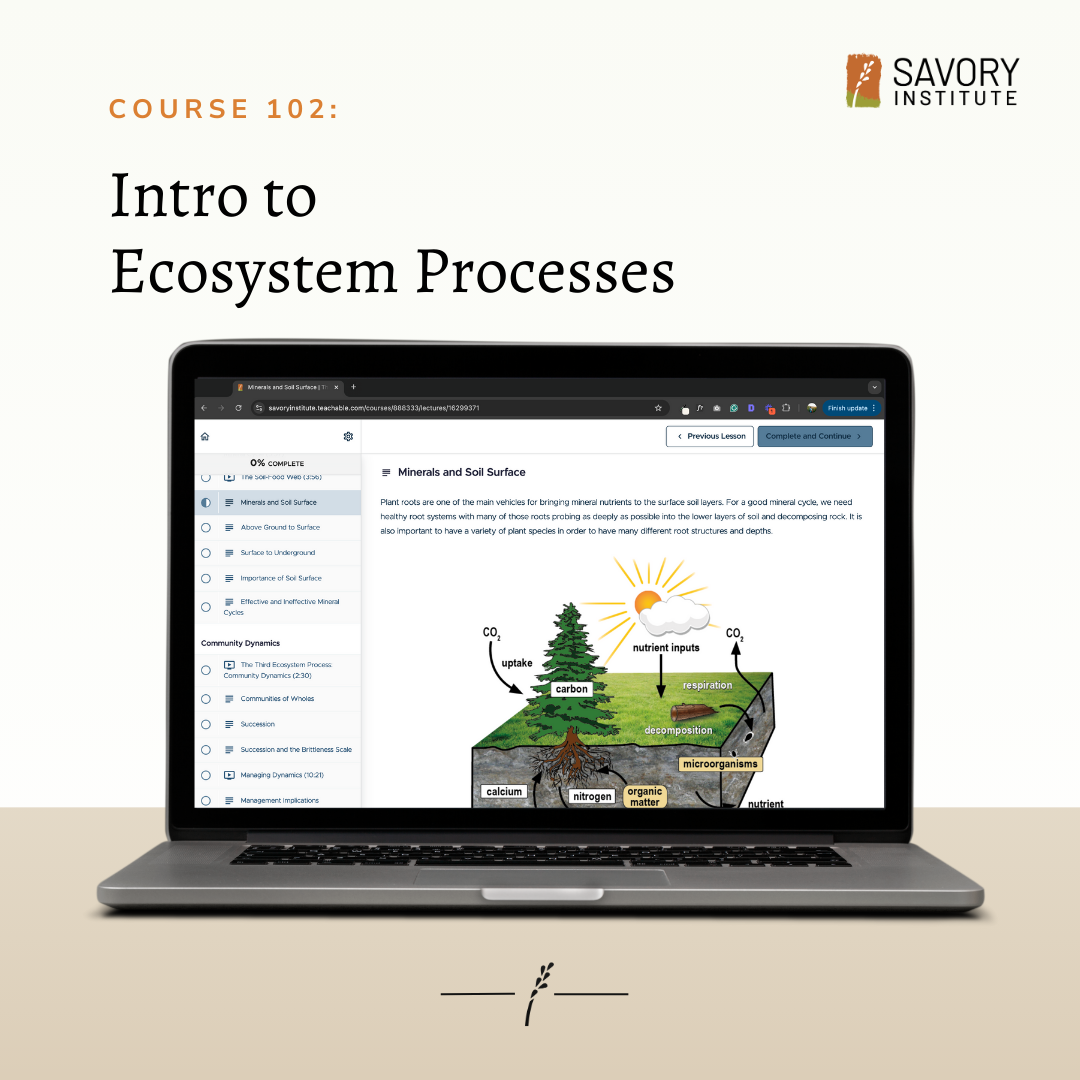 102: Introduction to Ecosystem Processes | Savory Institute