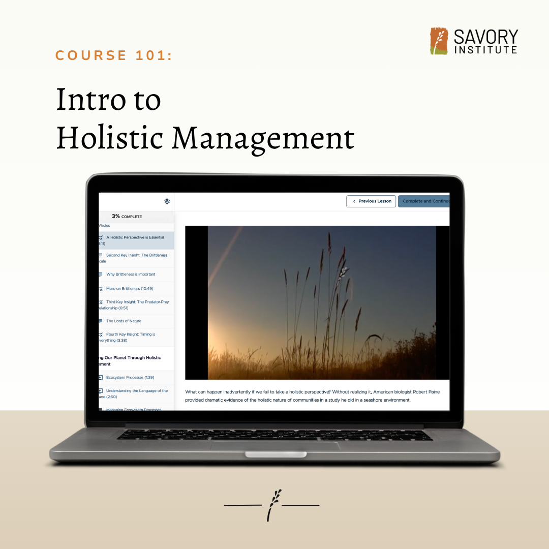 101: Introduction to Holistic Management | Savory Institute