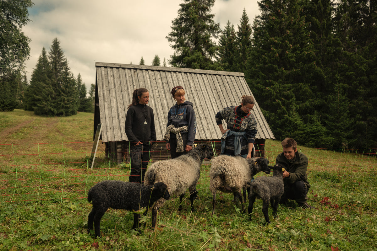 Savory Institute | Journey to Scandinavia