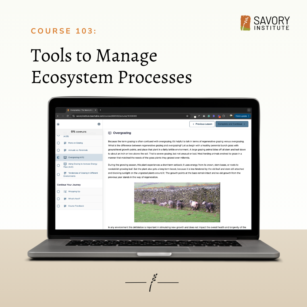 103: Tools to Manage Ecosystem Tools | Savory Institute