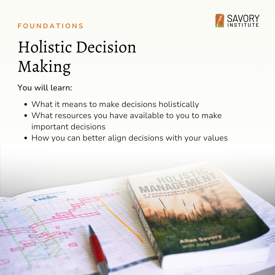 104: Holistic Decision Making | Savory Institute