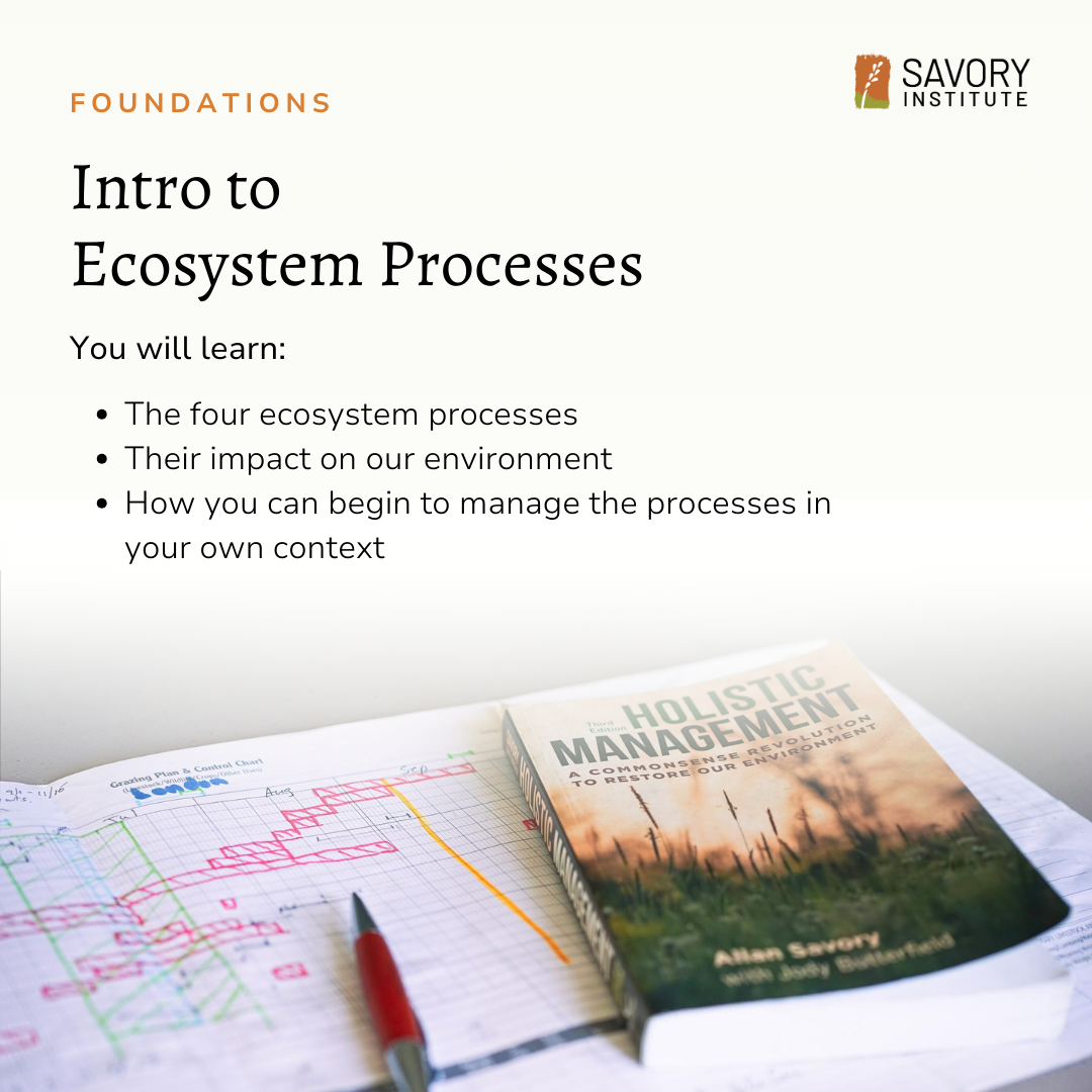 102: Introduction to Ecosystem Processes | Savory Institute