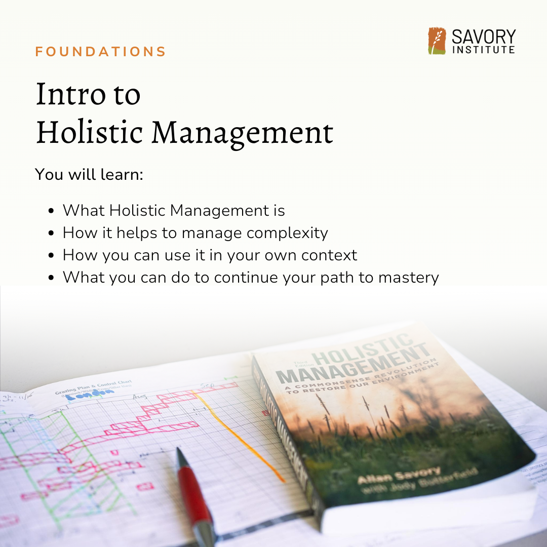 101: Introduction to Holistic Management | Savory Institute