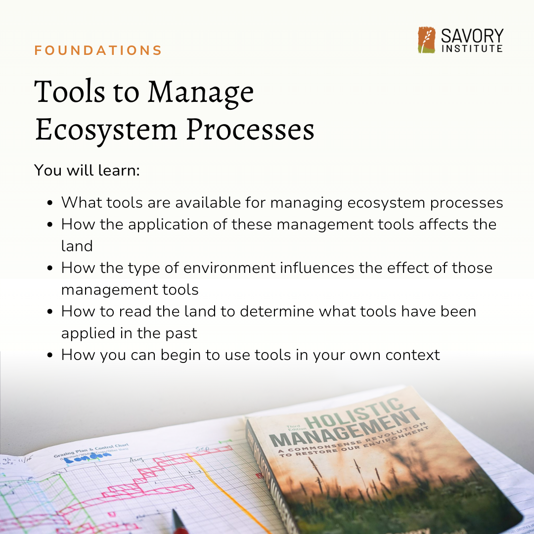 103: Tools to Manage Ecosystem Tools | Savory Institute