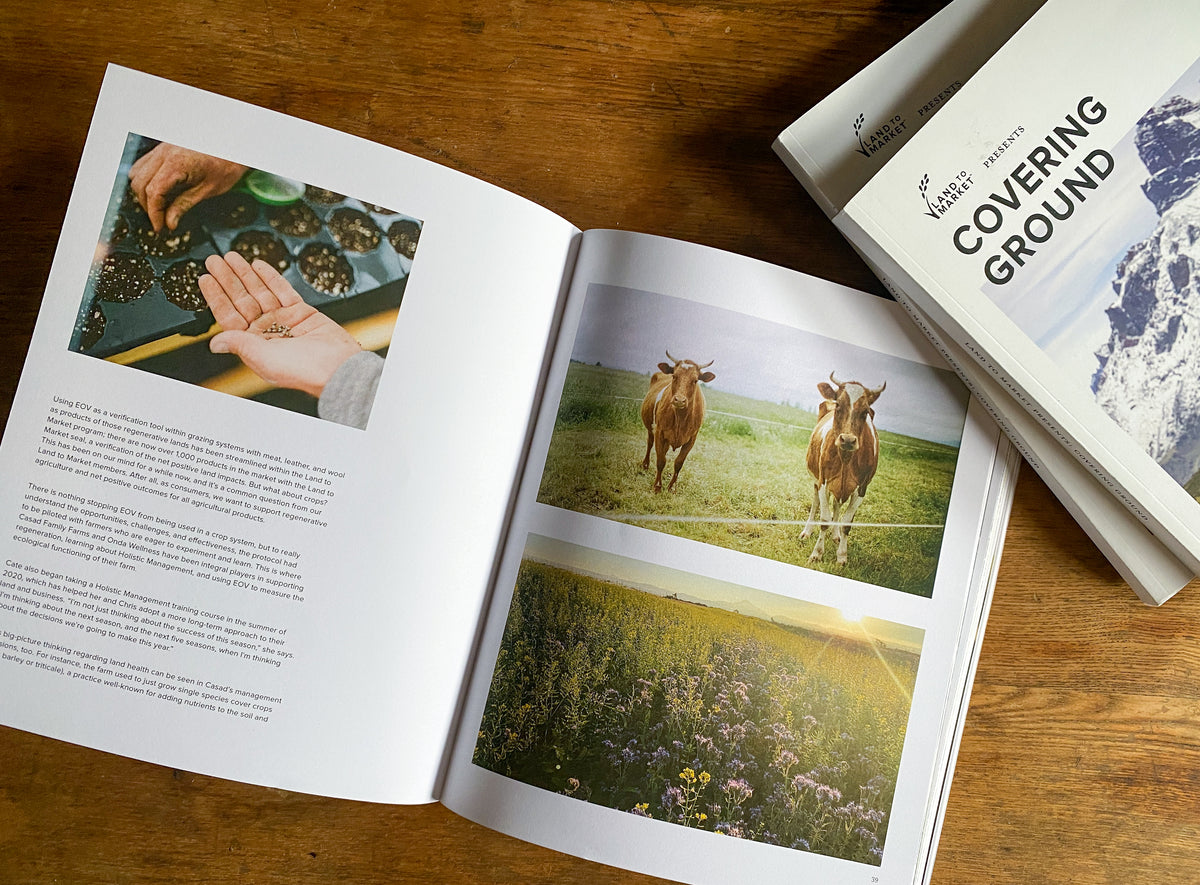 Covering Ground Journal – Savory Institute